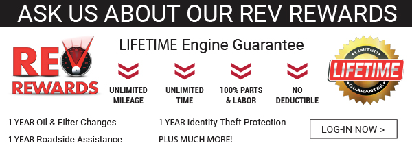 Spring Service Special